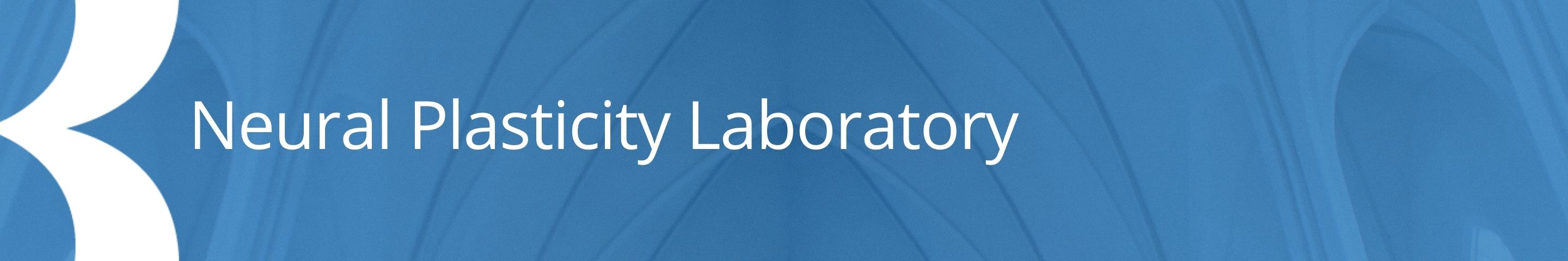 Neural Plasticity Laboratory | Kessler Foundation